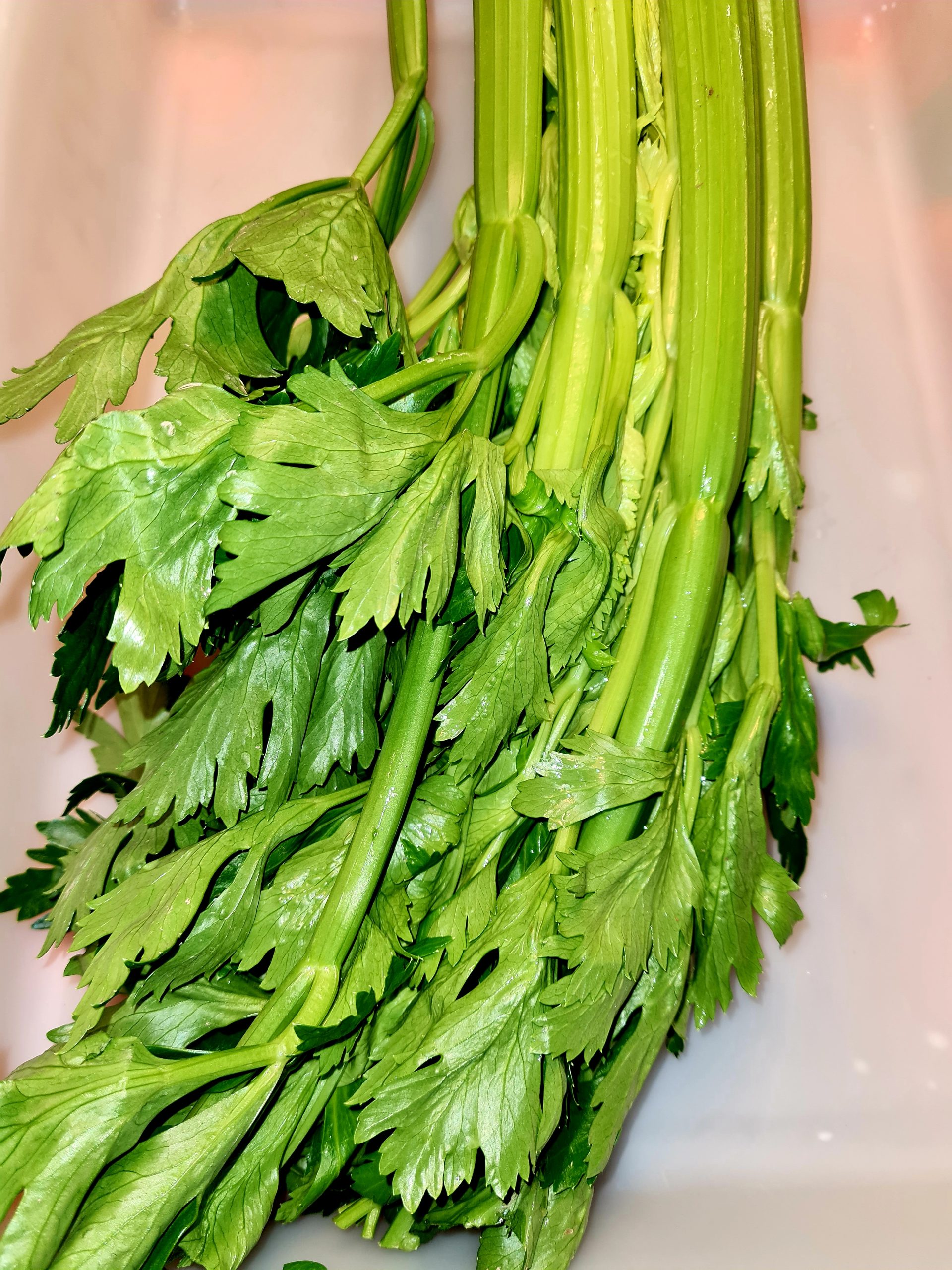 Apio - FrutasDelRey.es - Cestas de frutas a domicilio