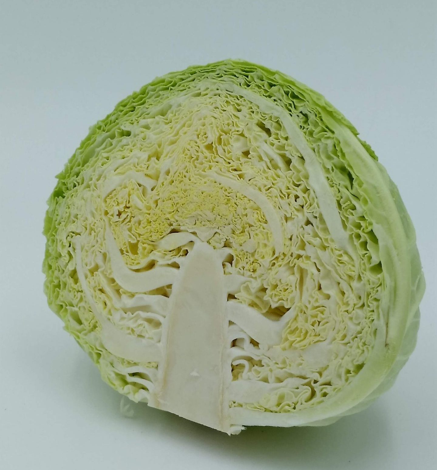 Repollo - FrutasDelRey.es - Cestas de frutas a domicilio